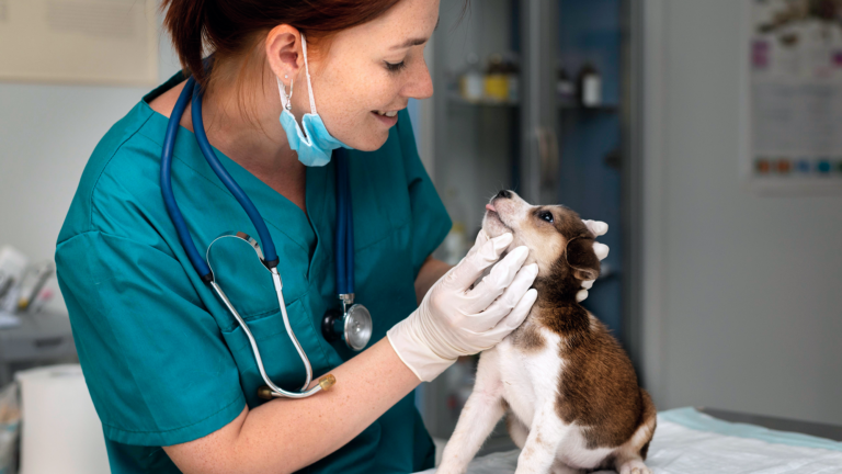 Full Guide on Anesthesiologist Residency Length & Writing