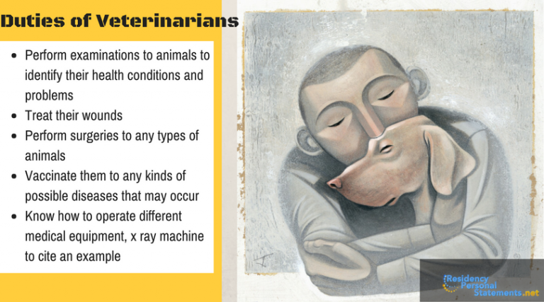 Veterinary Residency Personal Statement Done Right